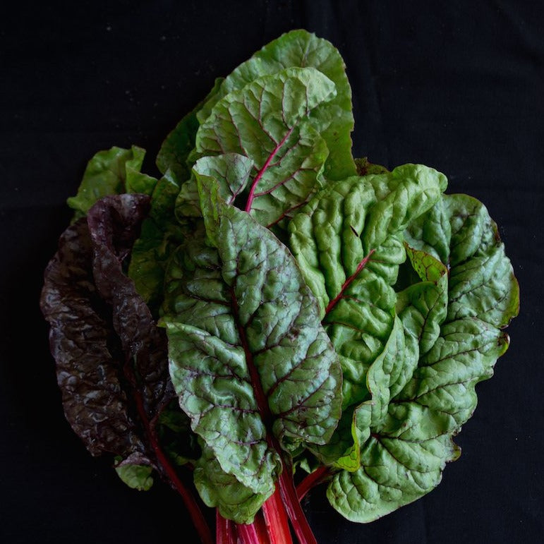 Chard (Rainbow) – Green Wagon Farm
